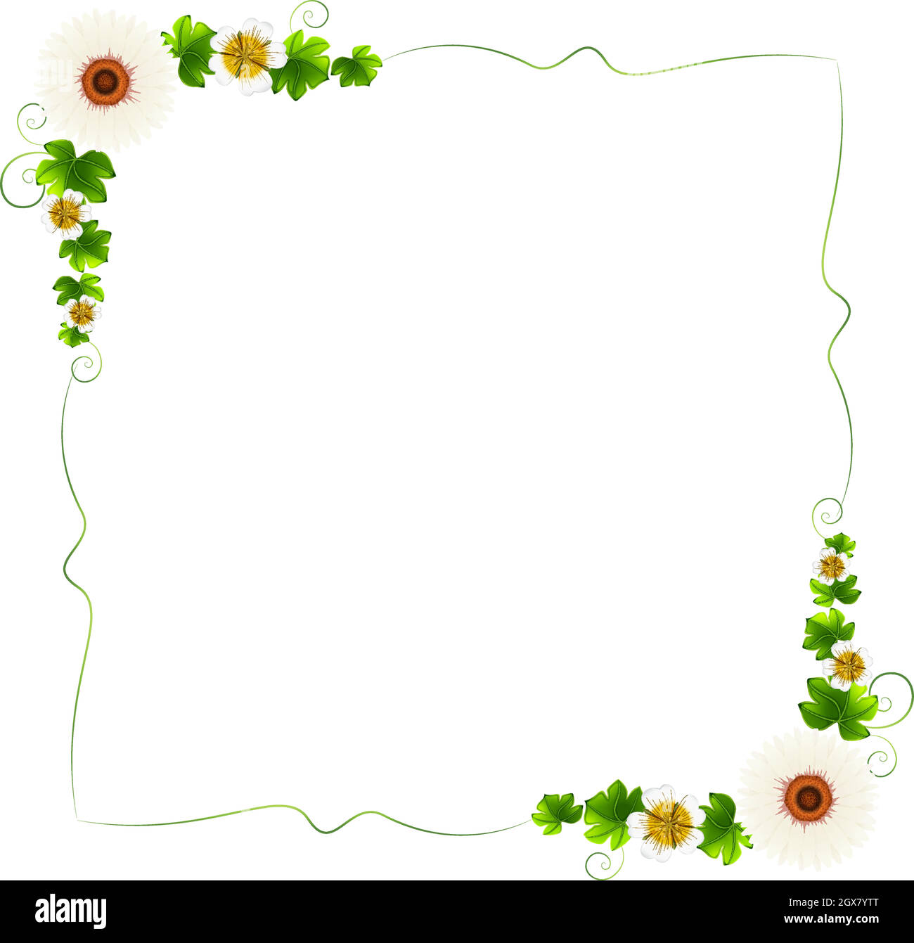 Pretty Flower Page Borders