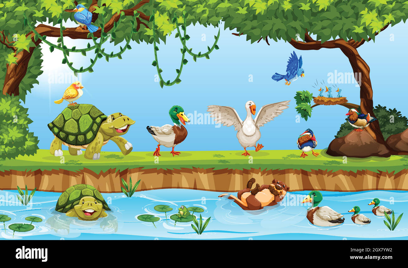 Lake trees pond in Stock Vector Images - Alamy