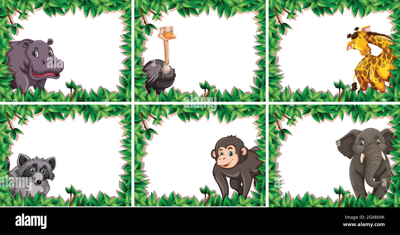 Set of wild animal border Stock Vector Image & Art - Alamy