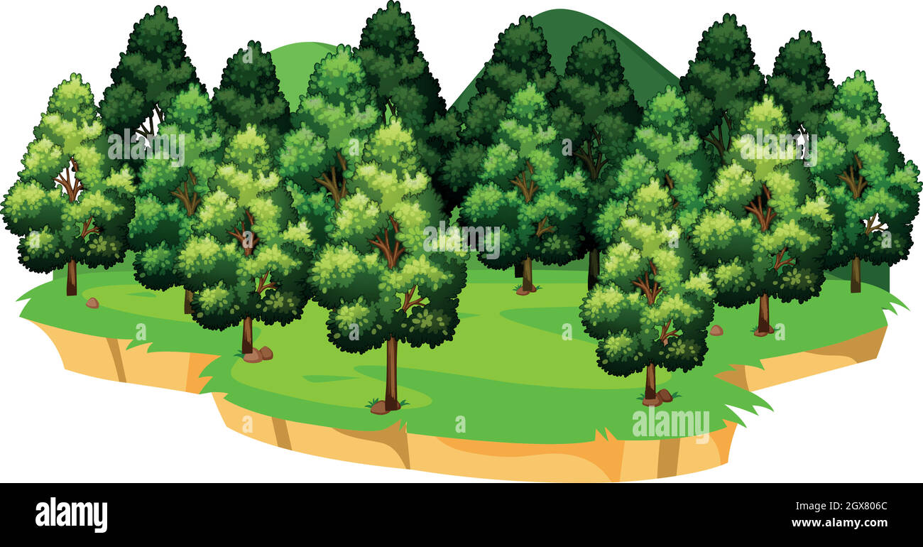 An isolated green nature landscape Stock Vector Image & Art - Alamy