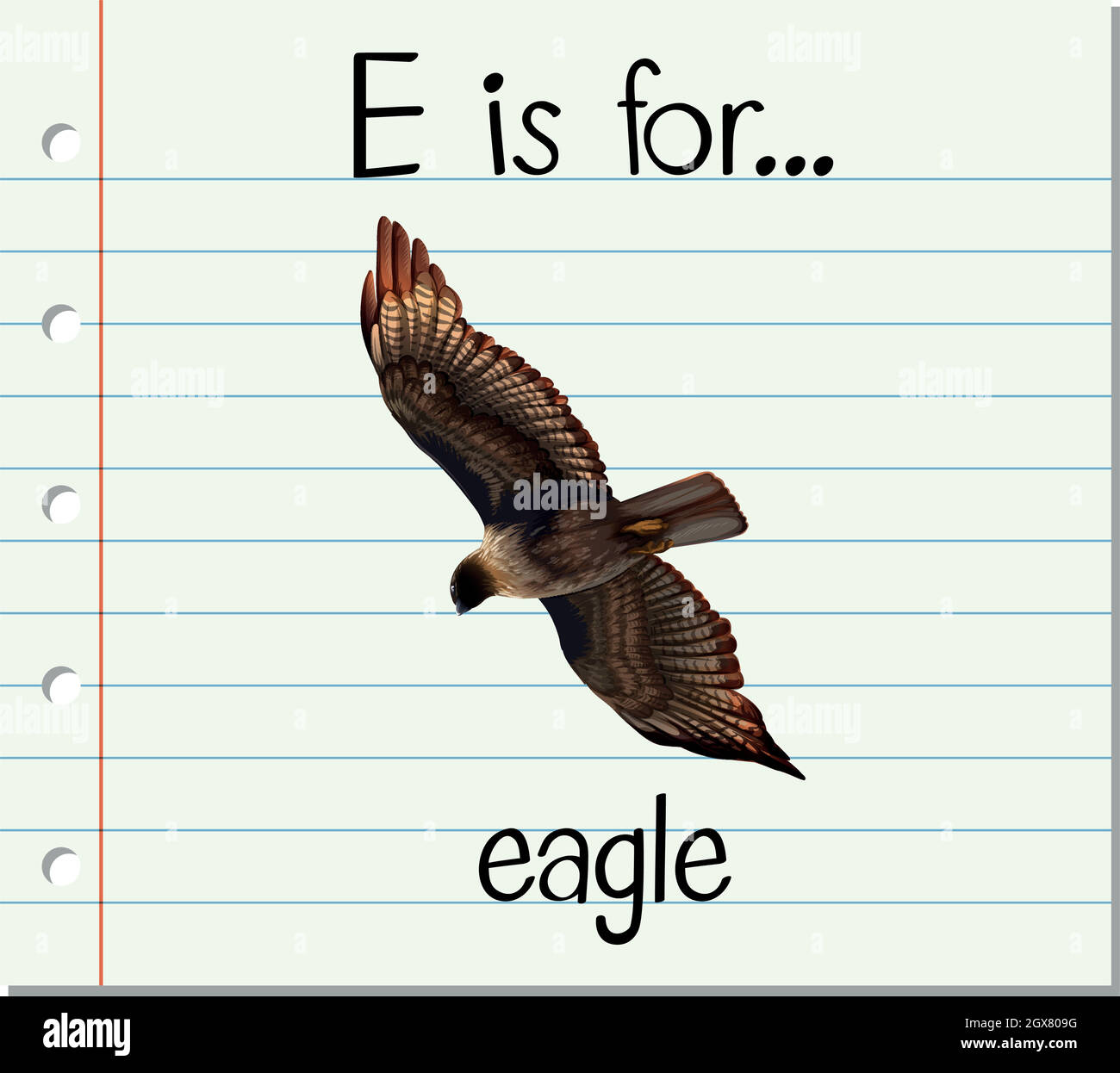 Flashcard letter E is for eagle Stock Vector Image & Art - Alamy
