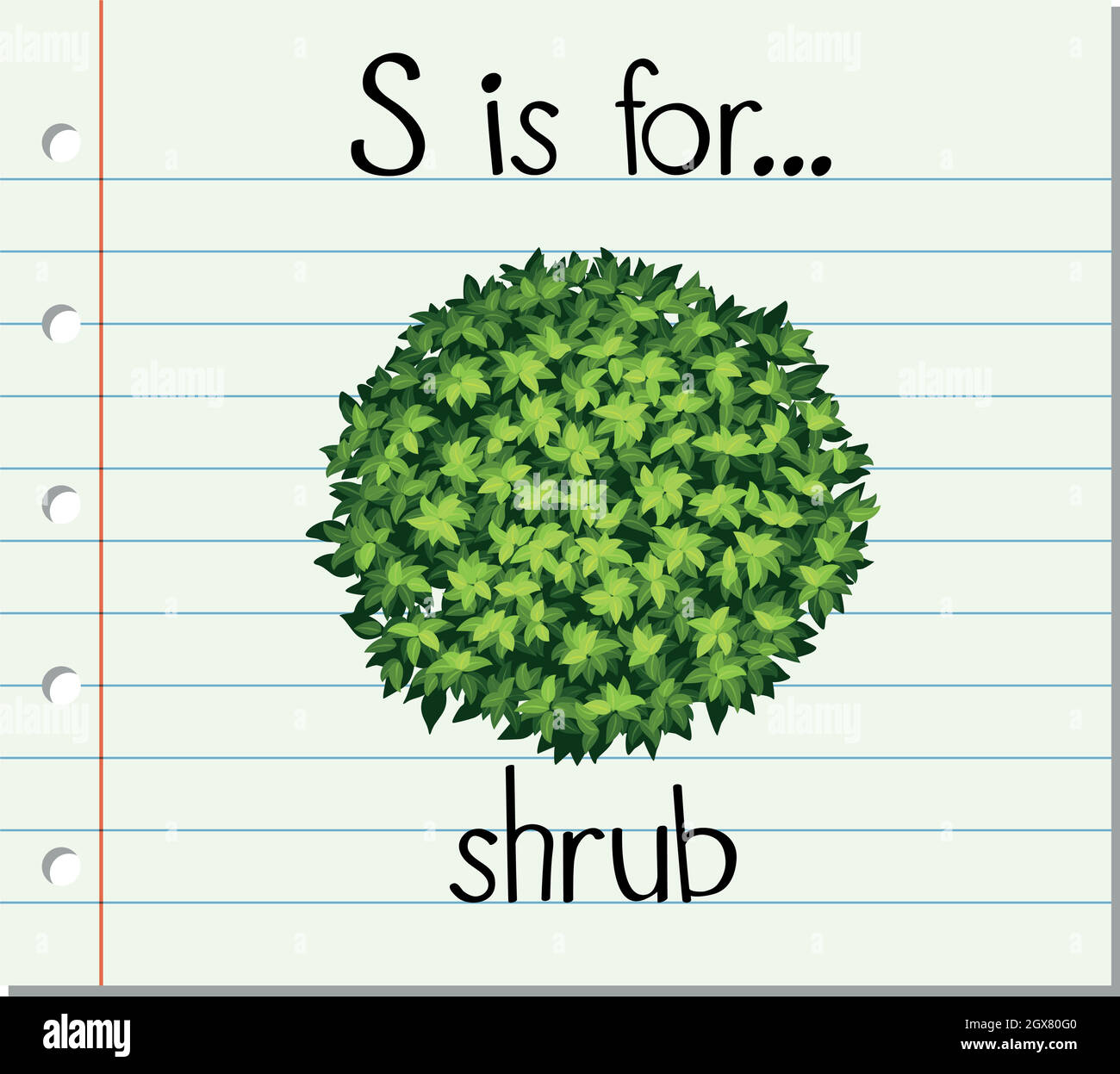 Flashcard letter S is for shrub Stock Vector Image & Art - Alamy