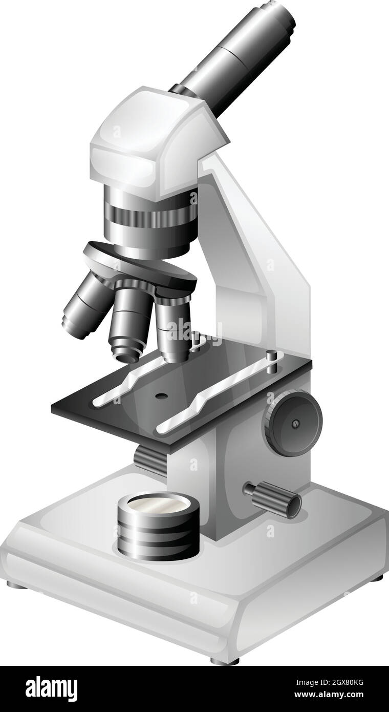 Blank Microscope Diagram