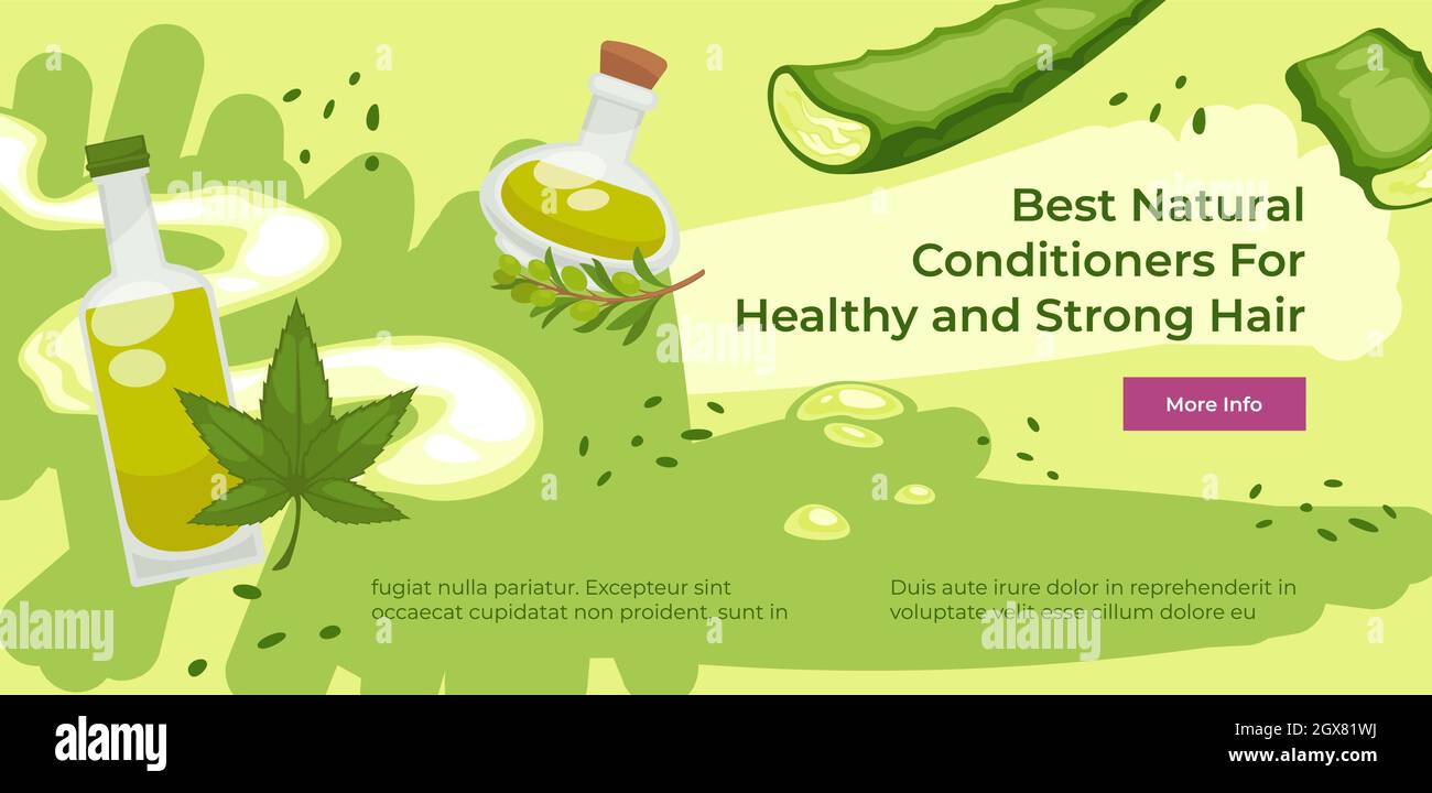 Best natural conditioners for strong healthy hair Stock Vector Image ...