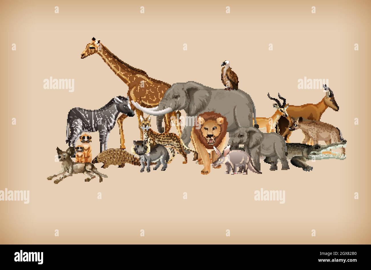 Group of wild animal on background Stock Vector Image & Art - Alamy