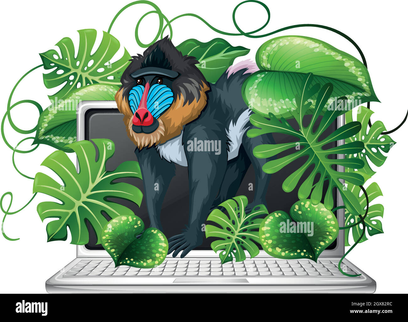 Baboon on computer screen Stock Vector Image & Art - Alamy