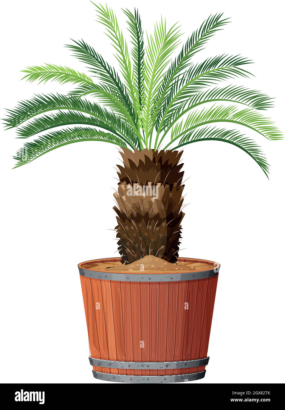 Tree in large pot Stock Vector Image & Art - Alamy