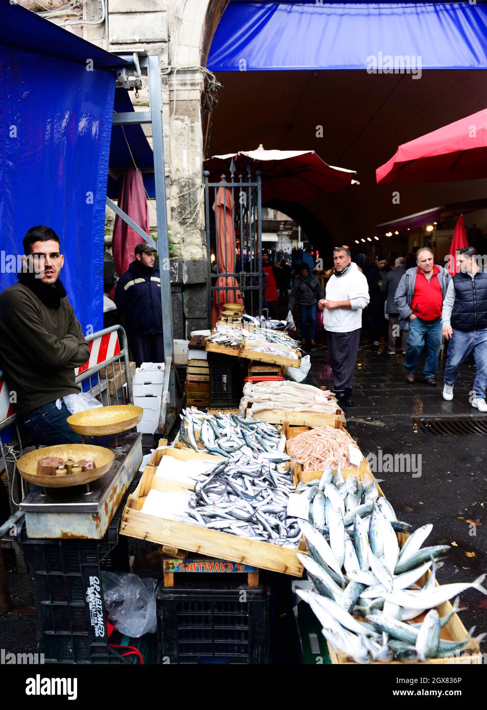 The colorful morning fish market in Catania, Italy Stock Photo - Alamy