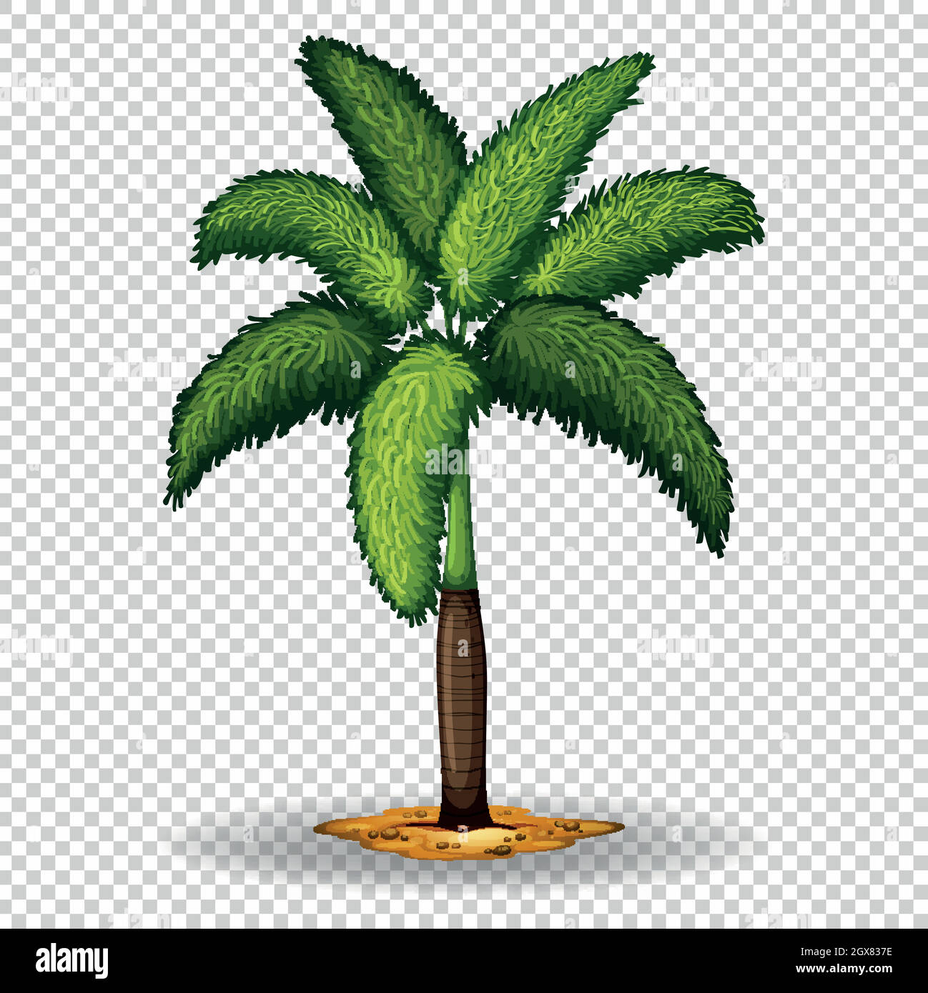 Palm tree on transparent background Stock Vector Image & Art - Alamy