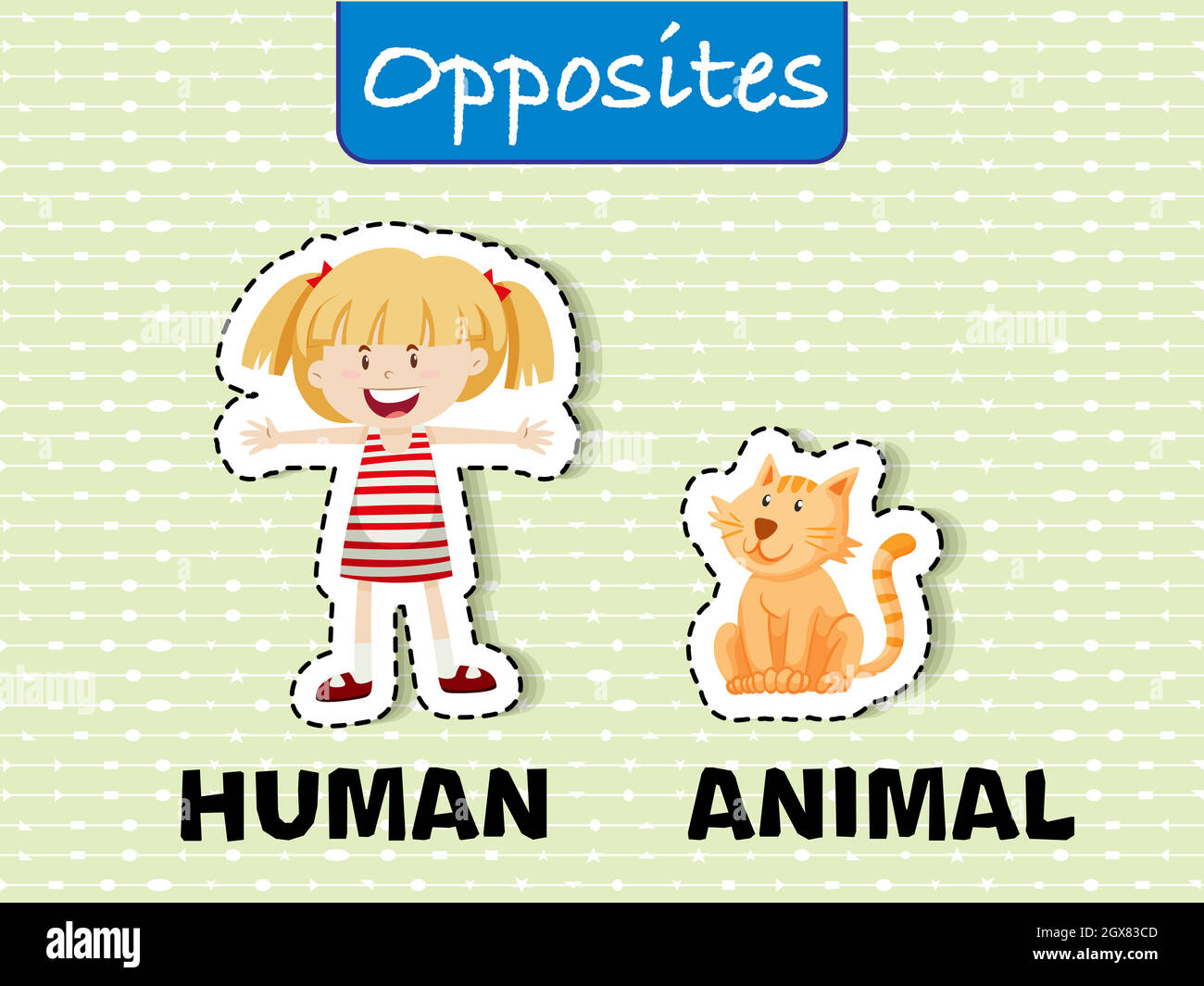 Opposite words for human and animal Stock Vector Image & Art - Alamy
