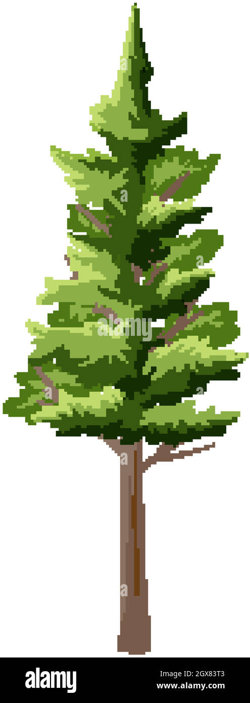 Single rainforest tree isolated on white background Stock Vector Image ...