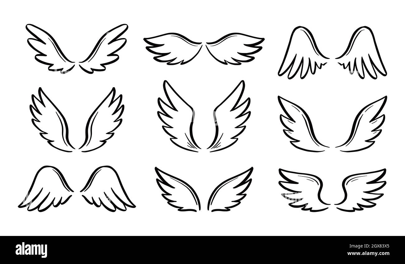 Angel doodle wing set. Hand drawn sketch style wing. Bird feather ...