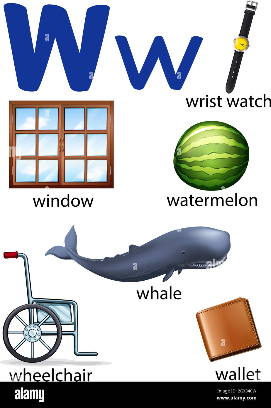 Things that start with the letter W Stock Vector Image & Art - Alamy
