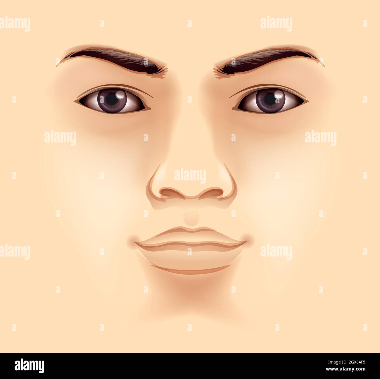 Human features hi-res stock photography and images - Alamy