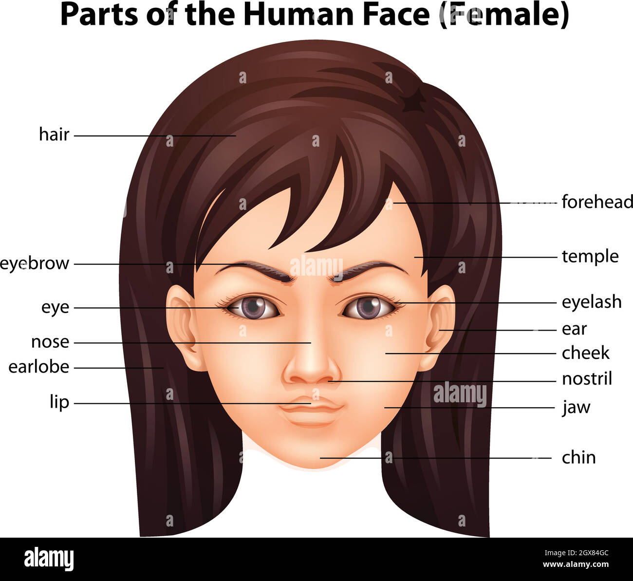 Human features hi-res stock photography and images - Alamy