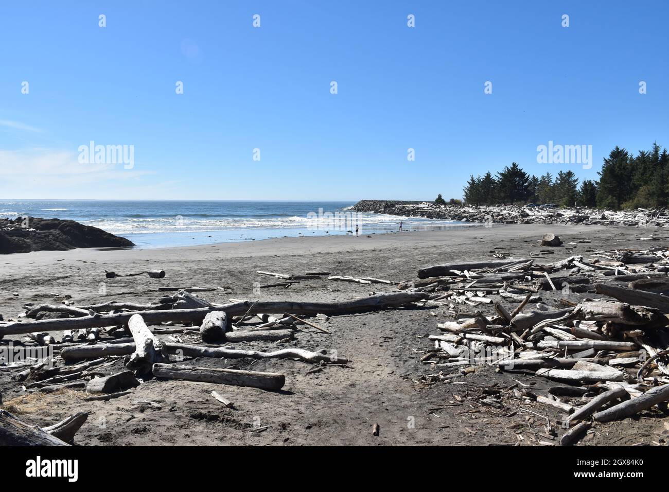 Waikiki Beach at Cape Disappointment State Park is popular with ...