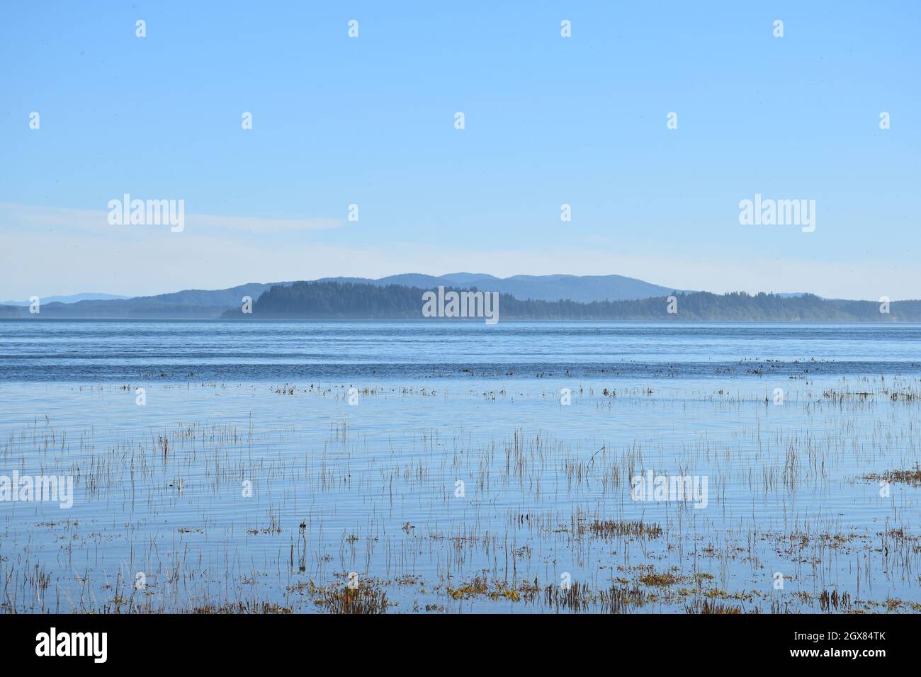 Views of Willapa Bay from Oysterville, Long Beach Peninsula, Pacific ...