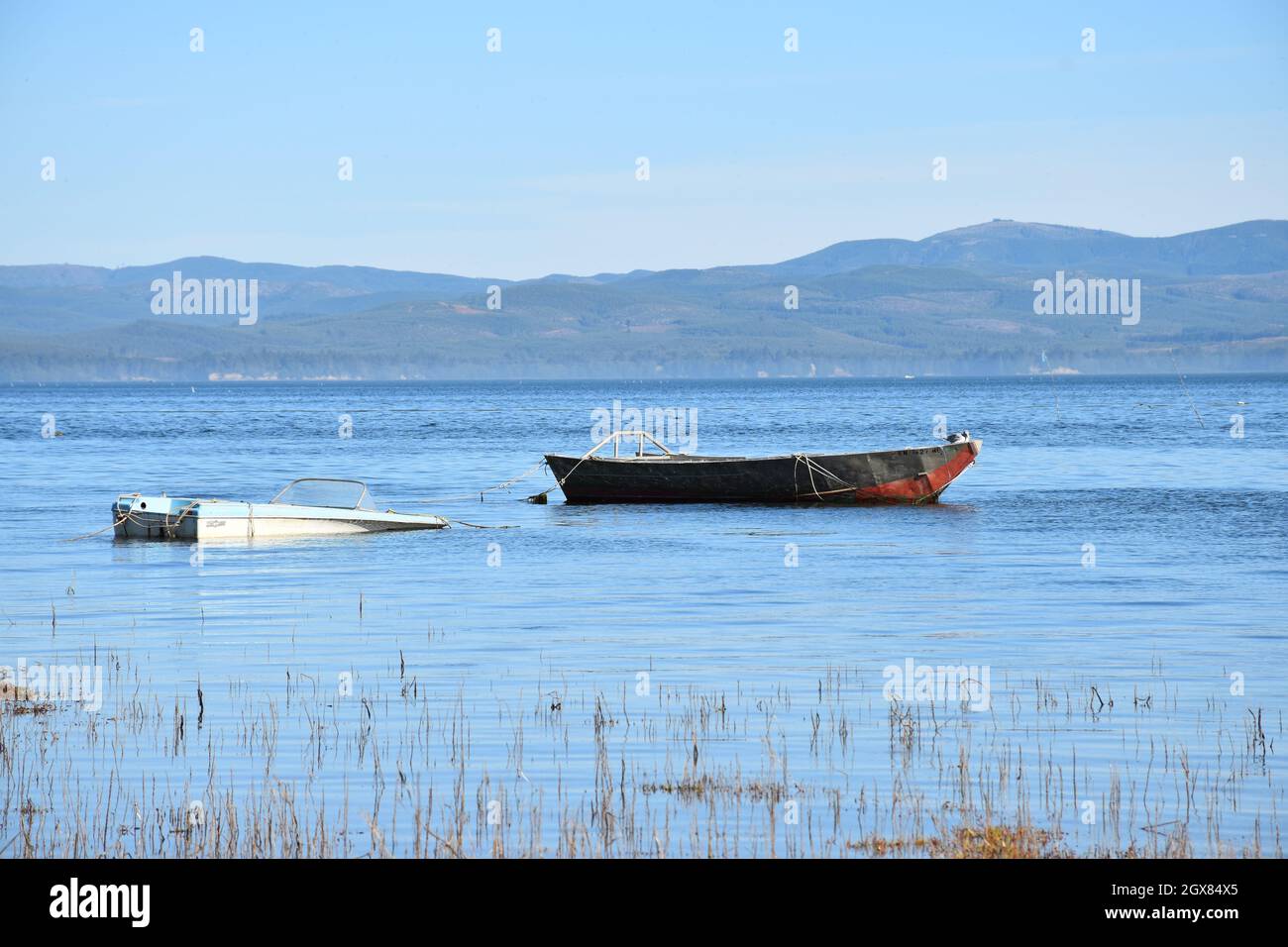Views of Willapa Bay from Oysterville, Long Beach Peninsula, Pacific ...