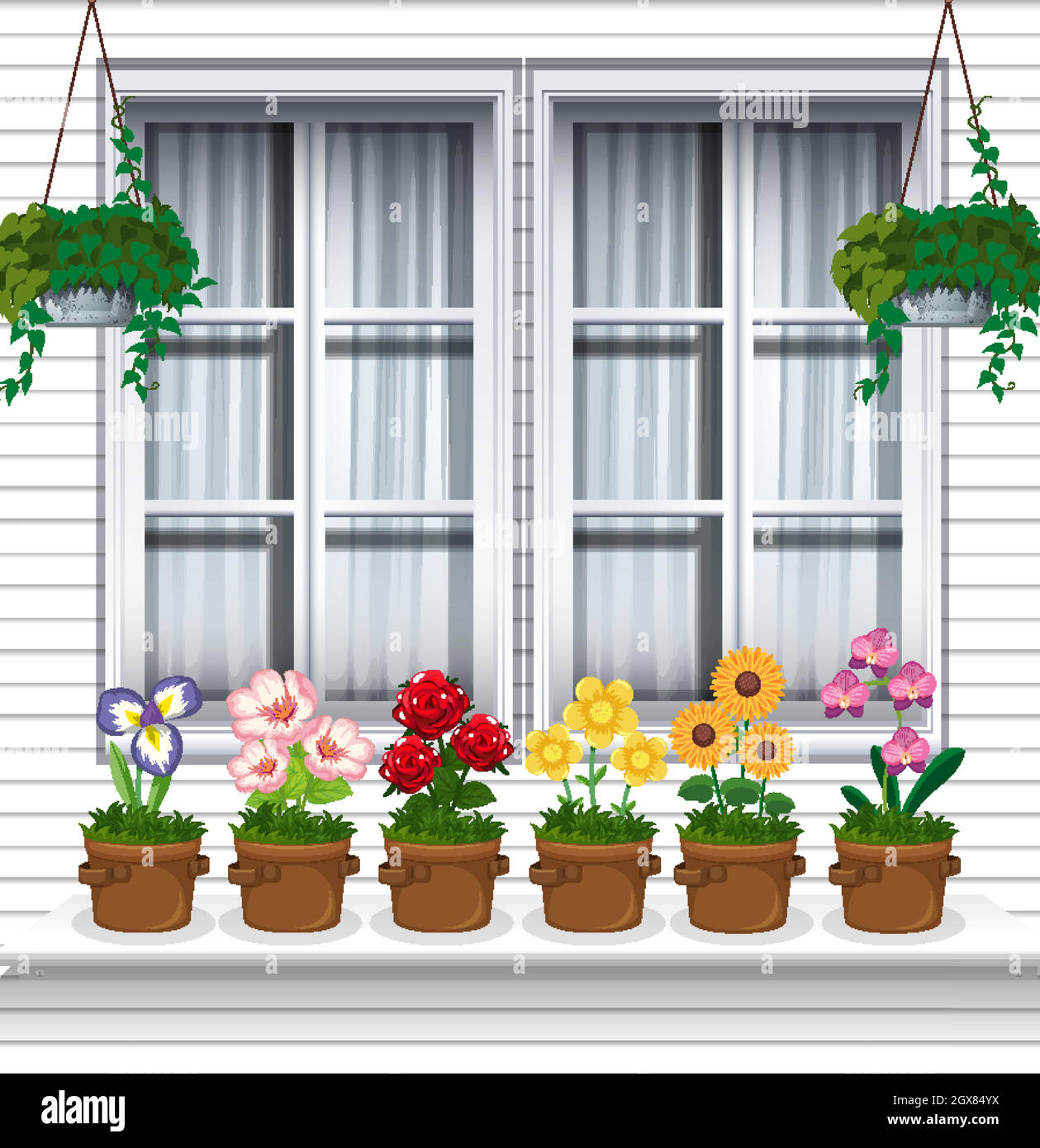 Flower plants near window Stock Vector Image & Art - Alamy