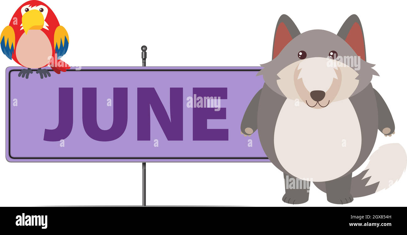 Gray fox Stock Vector Images - Alamy