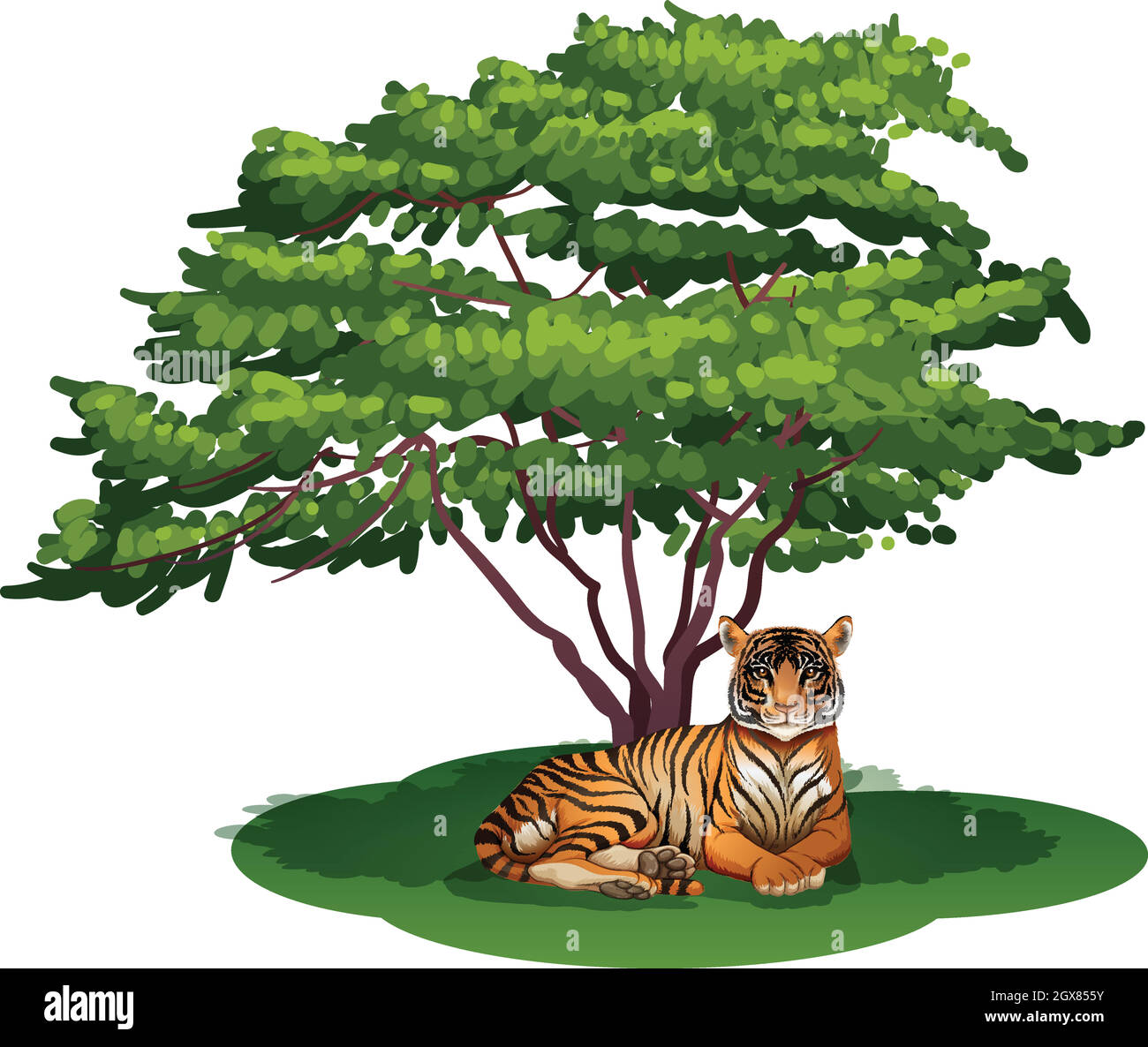 Virgata Cut Out Stock Images & Pictures - Alamy