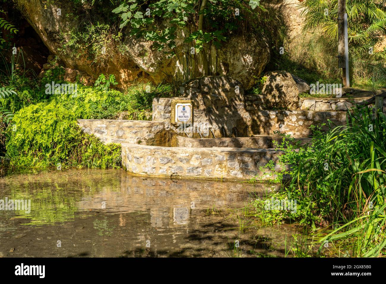 Natural source of spring water in forest flowing from a stone fountain ...
