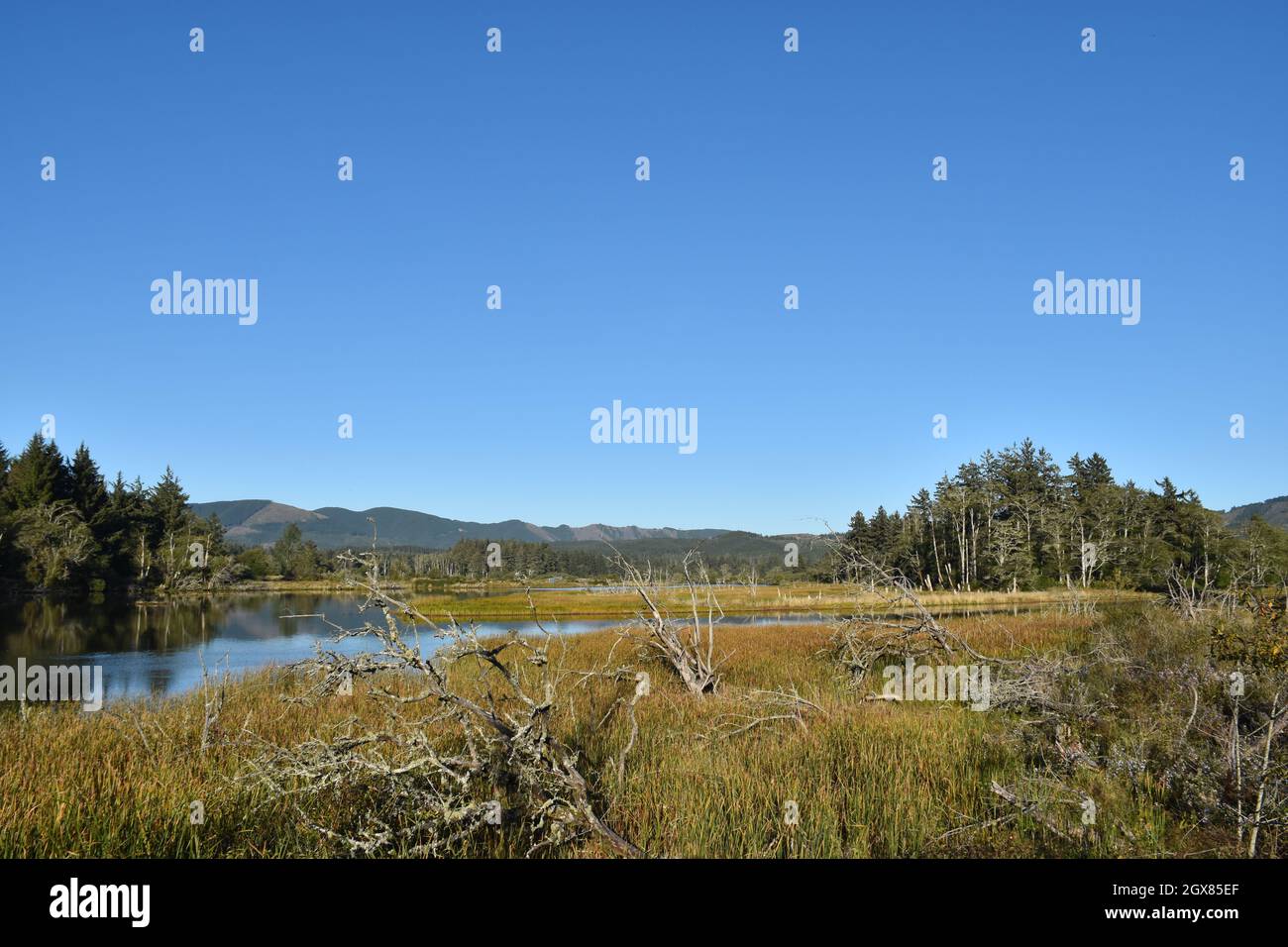 The Chinook River on the Long Beach Peninsula, Pacific County ...