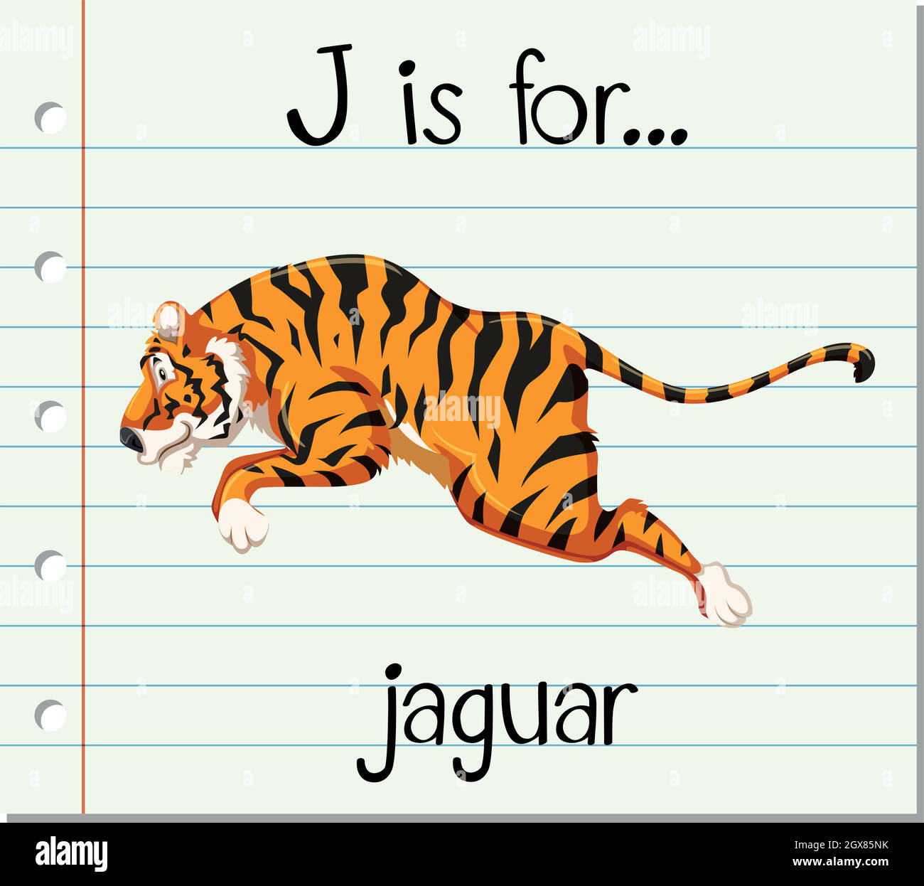 Flashcard letter J is for jaguar Stock Vector Image & Art - Alamy