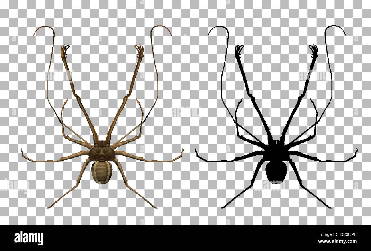 Aerial view on transparent Stock Vector Images - Alamy