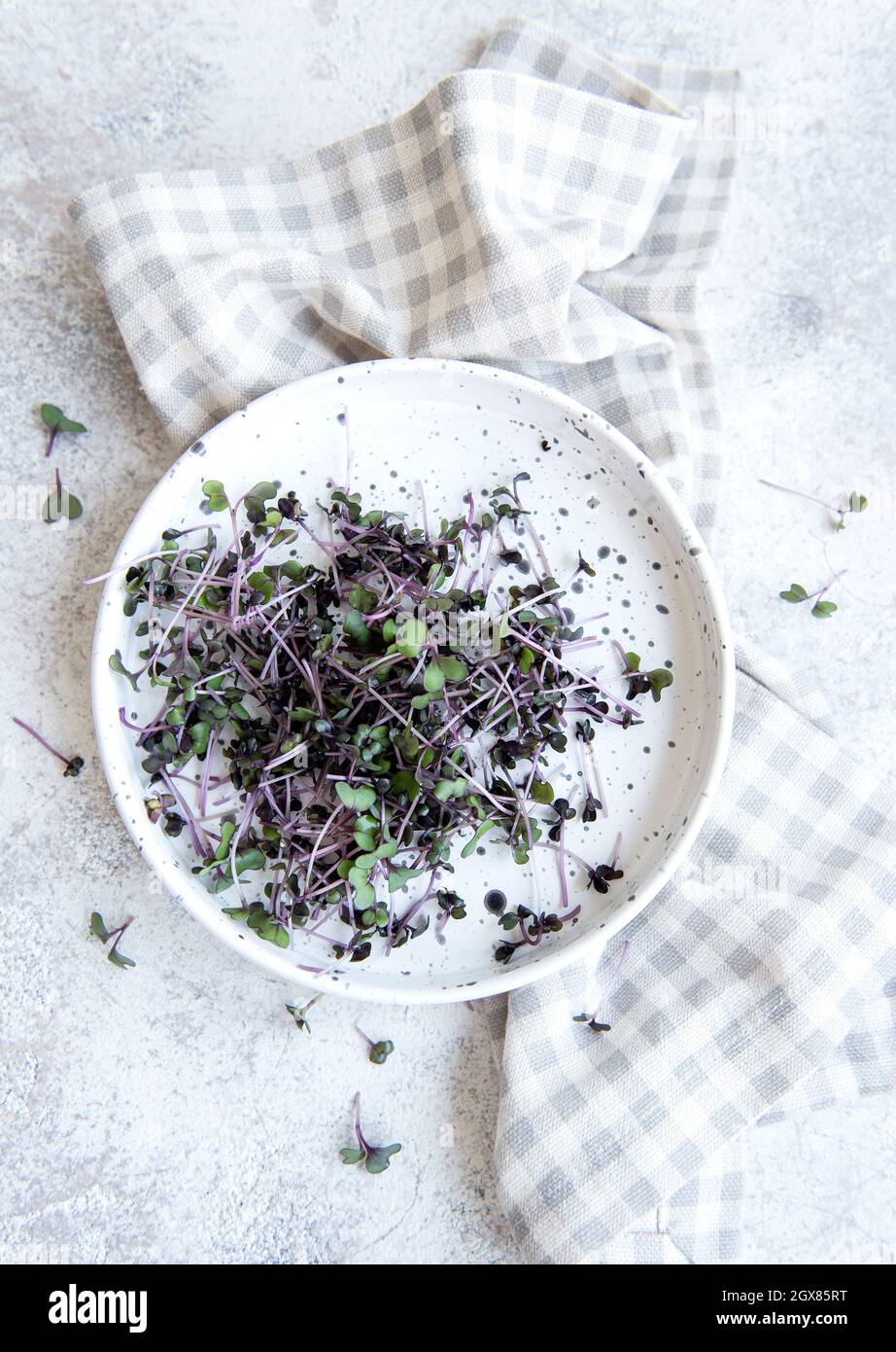 Micro greens. Sprouted Radish Seeds. Sprouting Microgreens. Seed ...