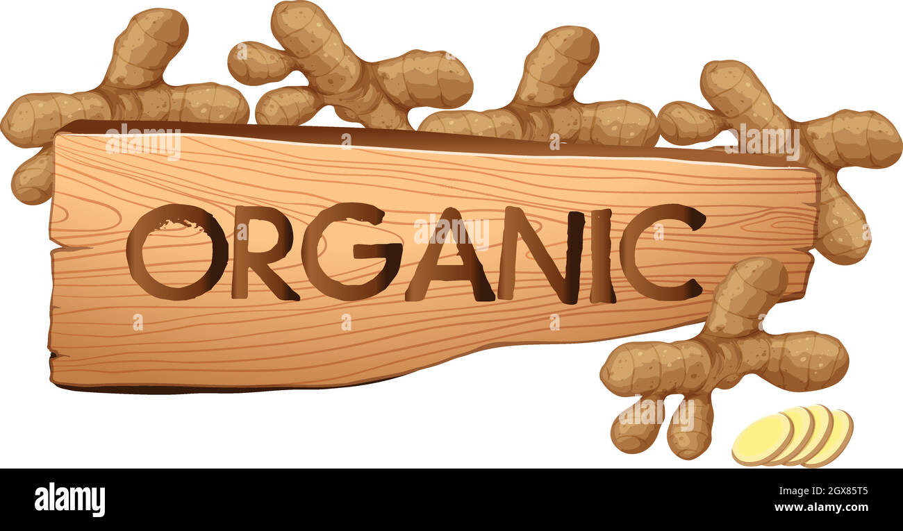 Organic sign with fresh gingers Stock Vector Image & Art - Alamy
