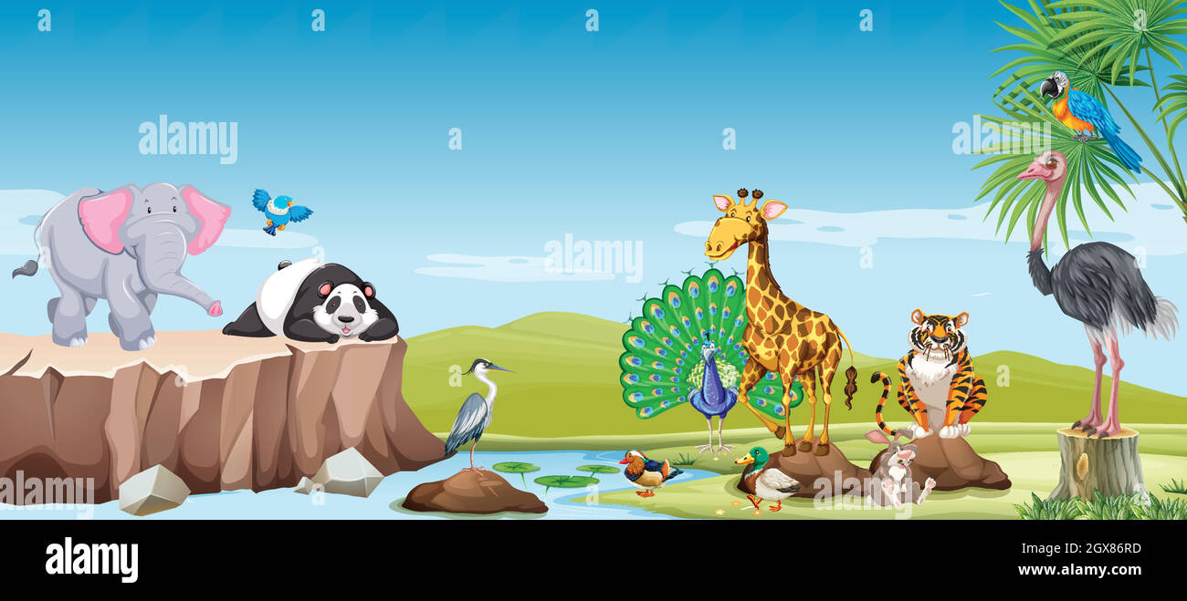 Ostrich field Stock Vector Images - Alamy