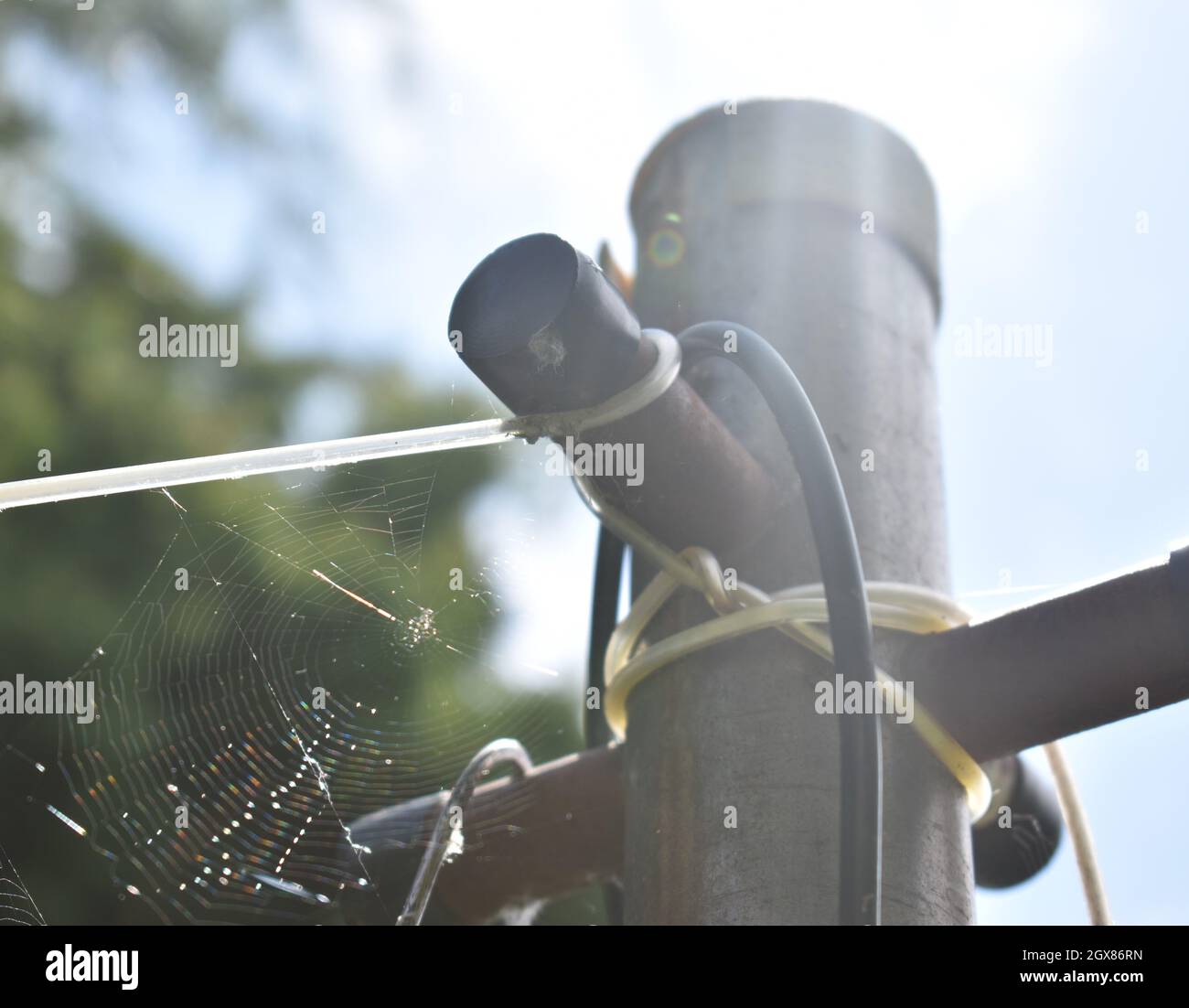 Spider washing hi-res stock photography and images - Alamy