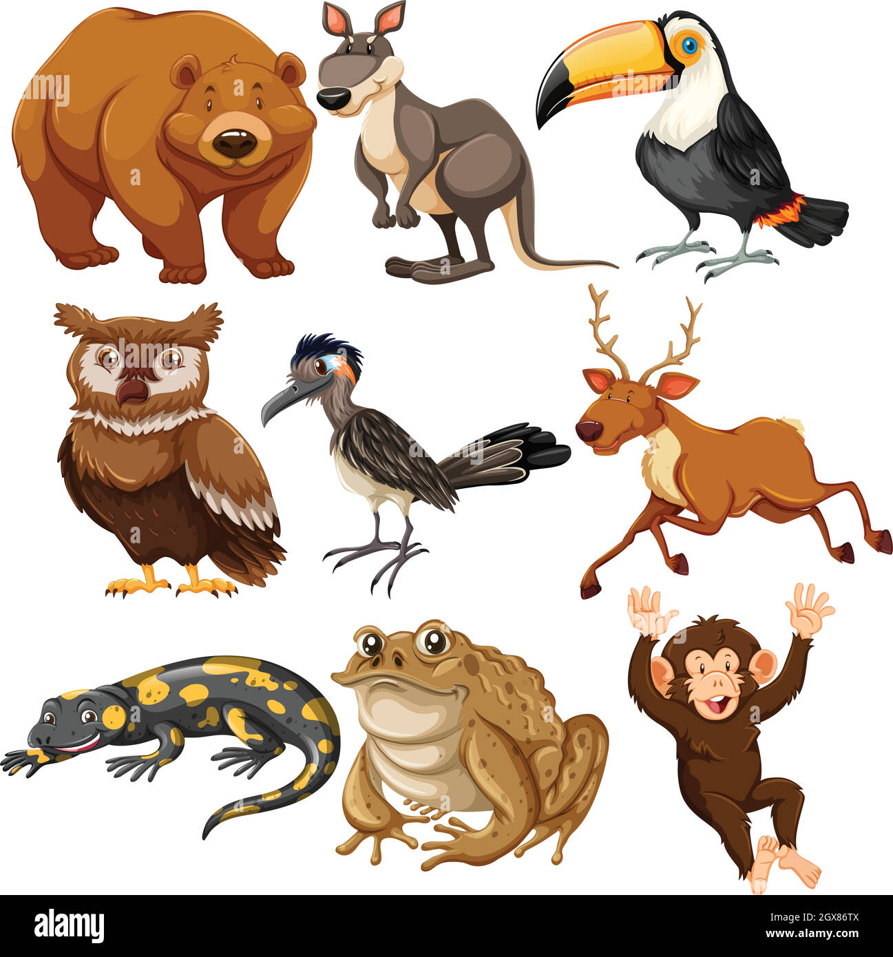 Set of different animals Stock Vector Image & Art - Alamy