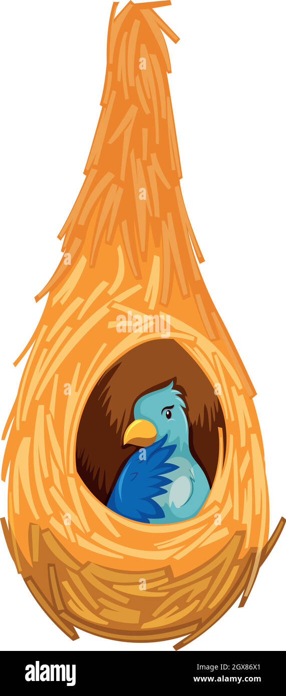 Inside bird nest Stock Vector Images - Alamy