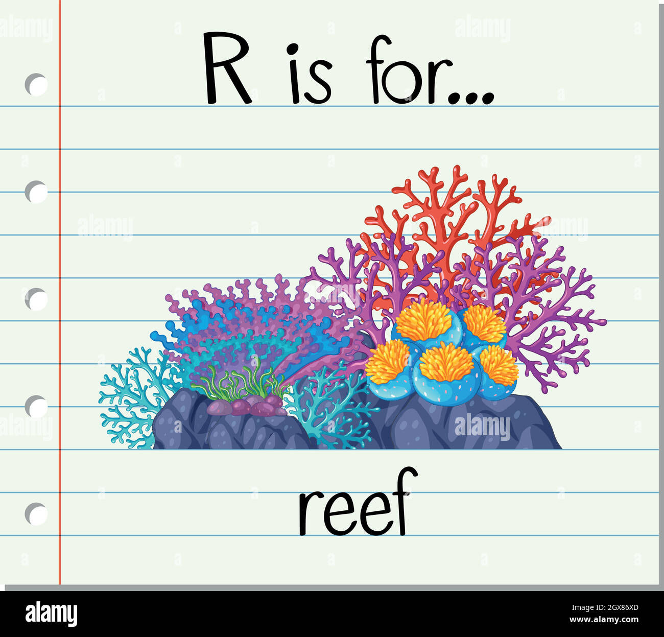 Flashcard letter R is for reef Stock Vector Image & Art - Alamy