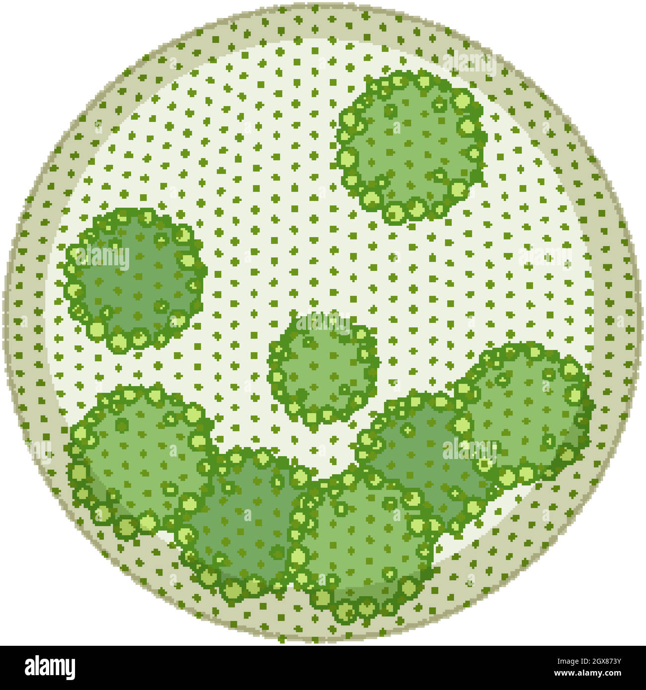 Volvox isolated on white background Stock Vector Image & Art - Alamy