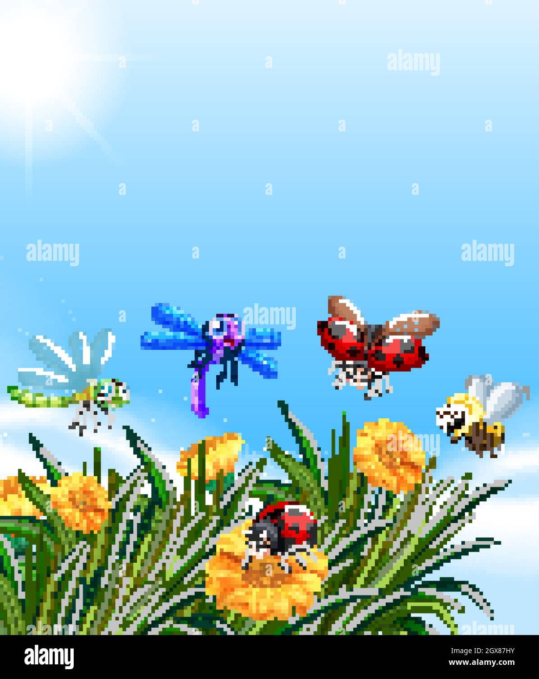 Empty nature background with many different insects Stock Vector Image ...