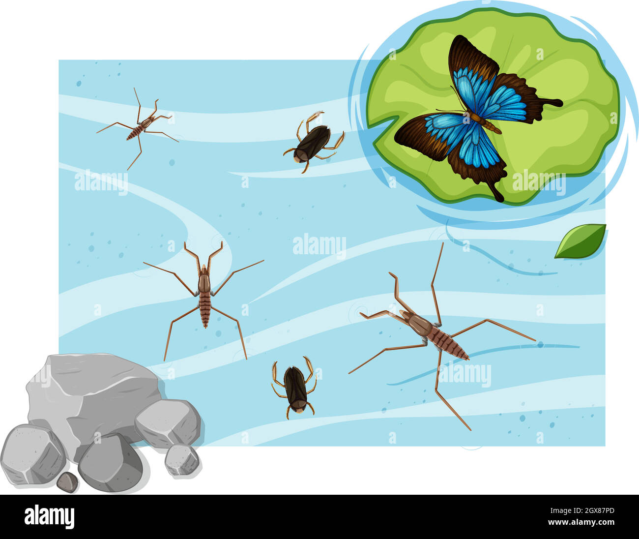 Life of insects Stock Vector Images - Alamy