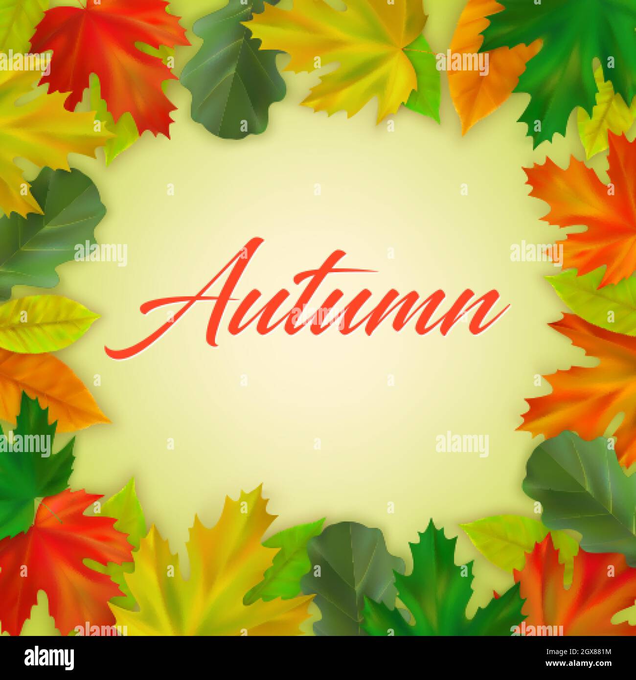 Realistic fall maple and oak leaves on color background with ...