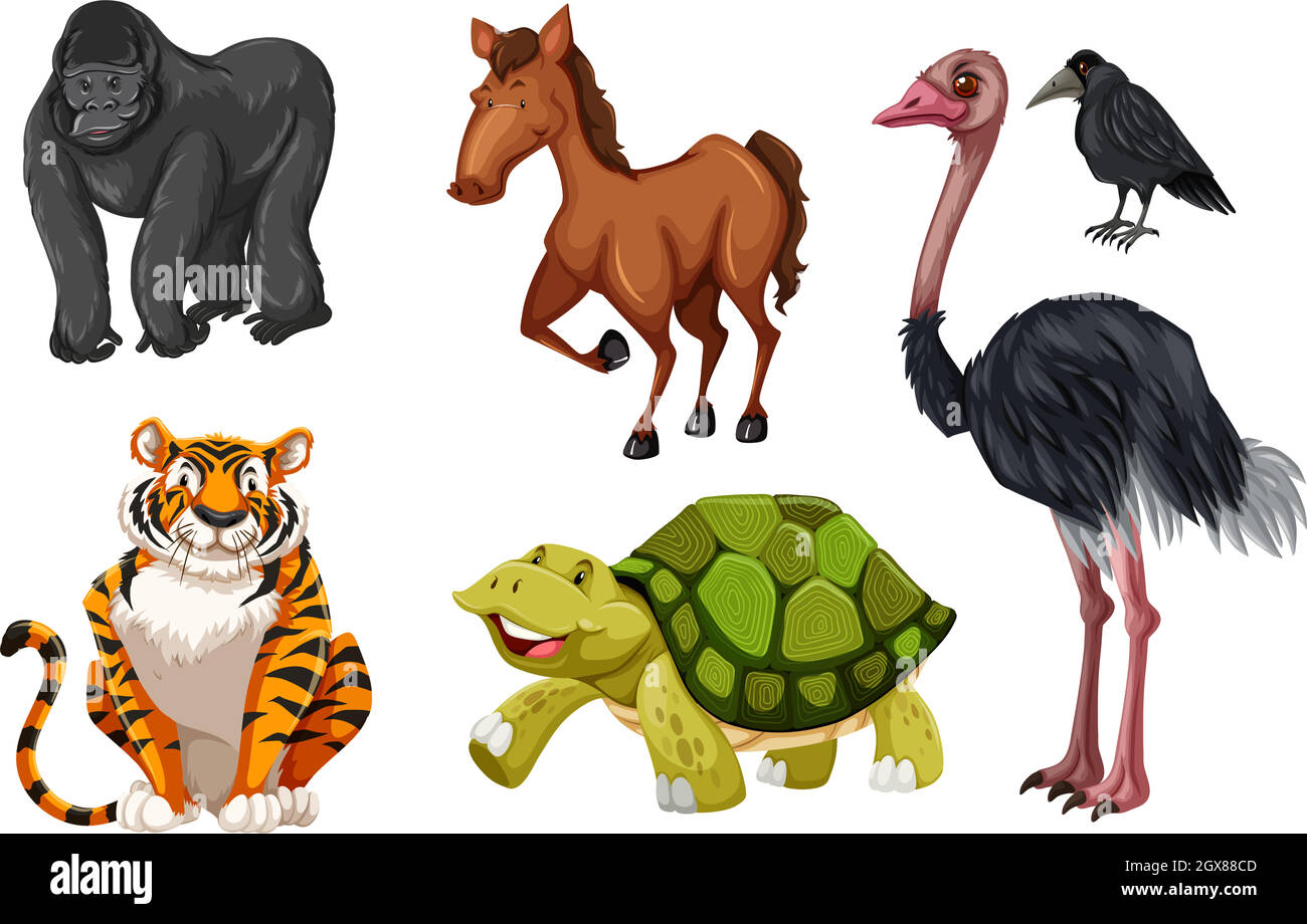 Set of different wild animals Stock Vector Image & Art - Alamy