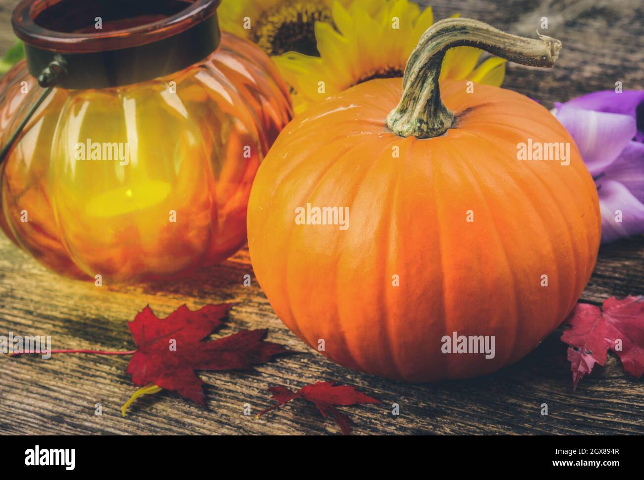 pumpkin on table Stock Photo - Alamy