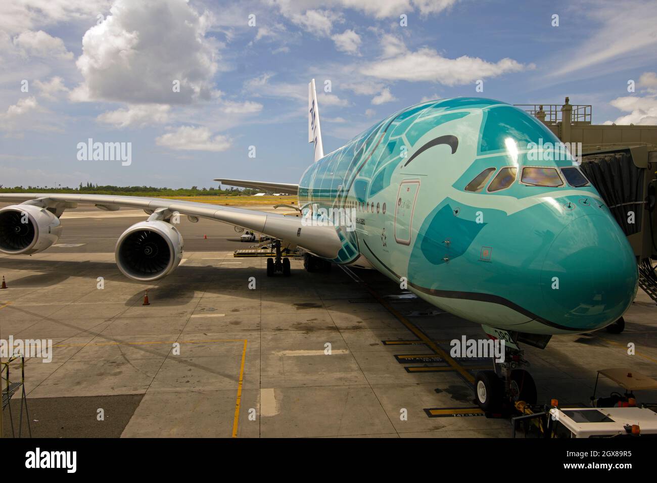 Airbus A380 airplane from ANA Airlines decorated with a sea turtle ...