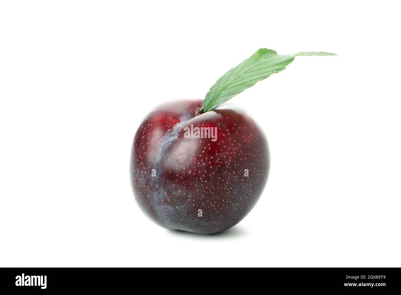 Harvest plum close up Cut Out Stock Images & Pictures - Alamy