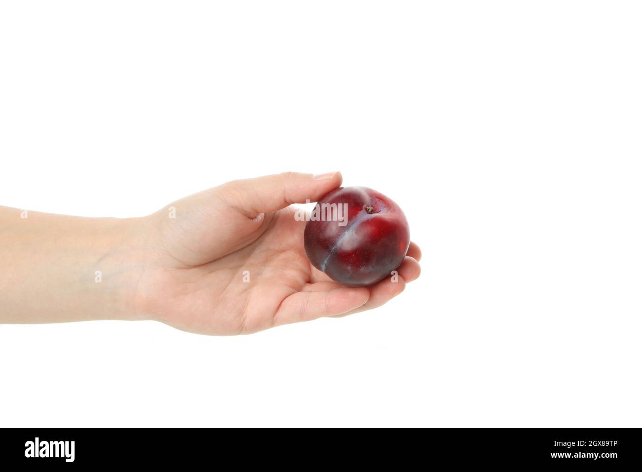 Plum in hand, isolated on white background Stock Photo - Alamy