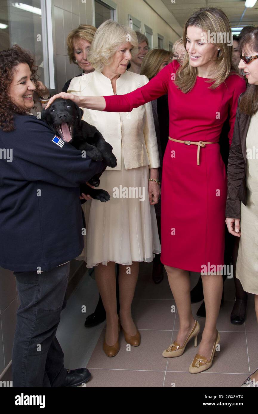 Camilla, Duchess of Cornwall and Crown Princess Letizia stroke a guide ...