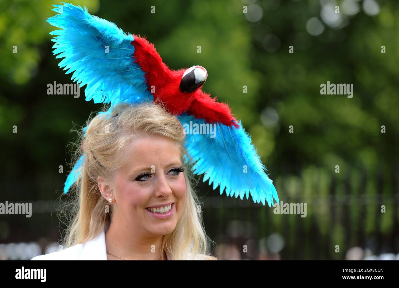 Parrot hat hi-res stock photography and images - Alamy