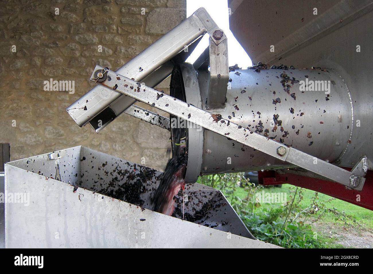 Grapes are poured into the de-stalking machine at Chateau Fontcaille ...