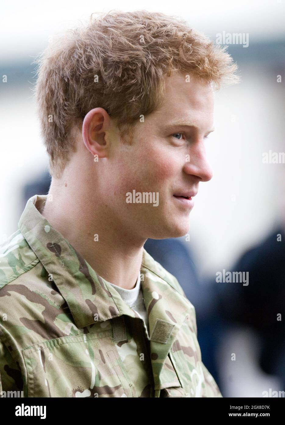 Royal honorary air commandant of the raf air hi-res stock photography ...
