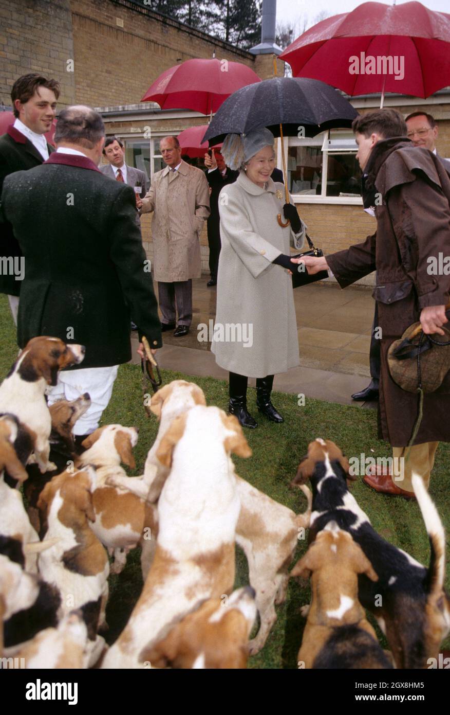 The Queen with a pack of hunting hounds at a wildlife trust in ...